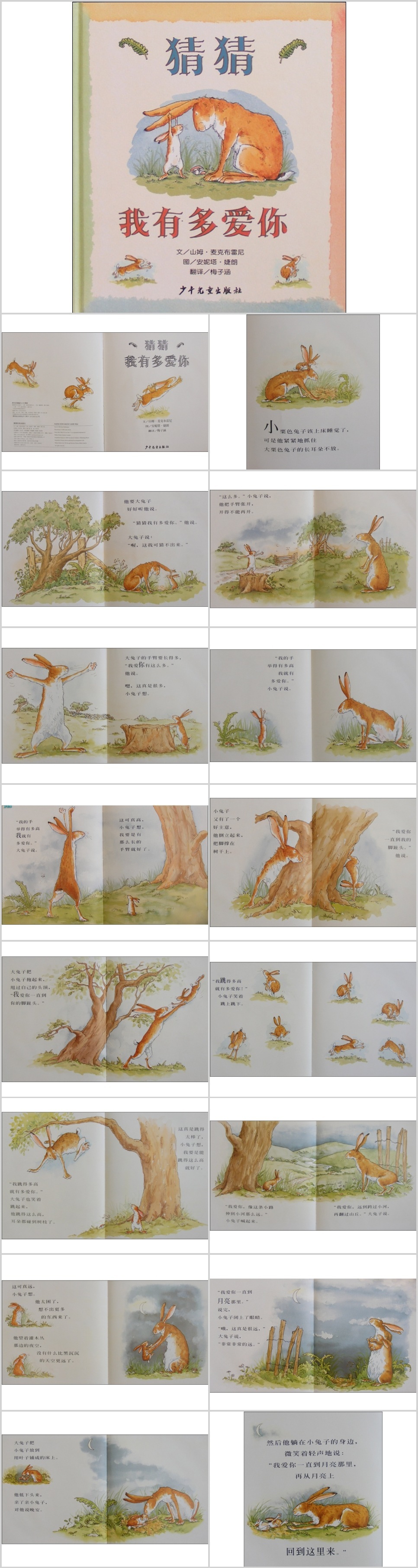 猜猜我有多爱你幼儿绘本教育课件 Ppt模板 图创网